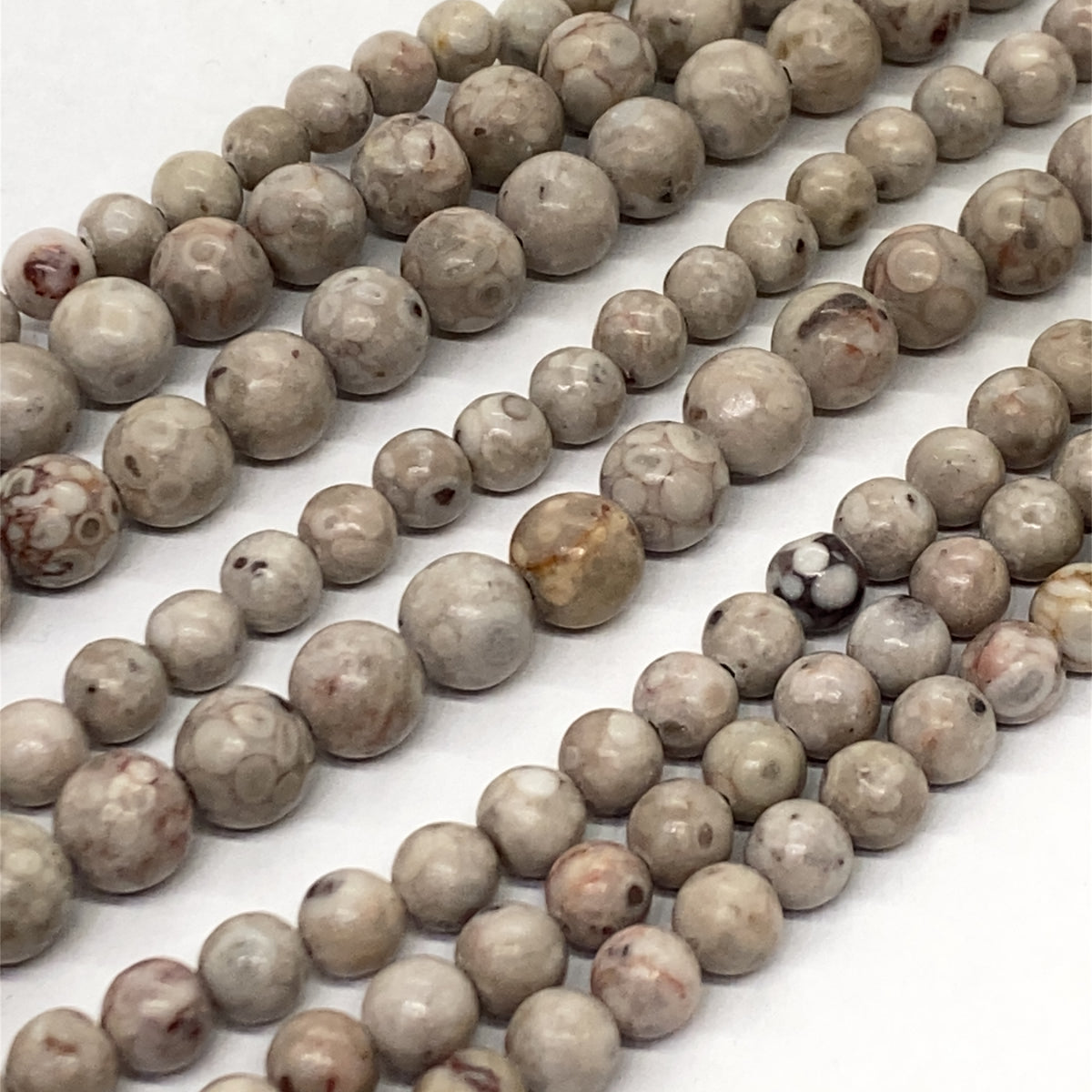 Bargain Wall Fossil Natural Stone Bead Strand #10-109 – Beadazzle Bead ...